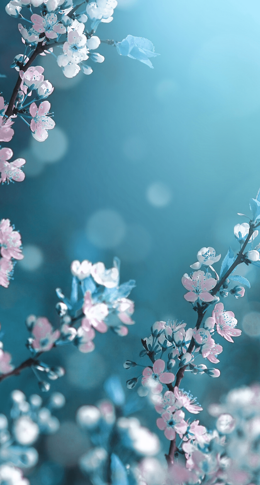 Blue Flower Phone Wallpapers - Top Free Blue Flower Phone Backgrounds ...