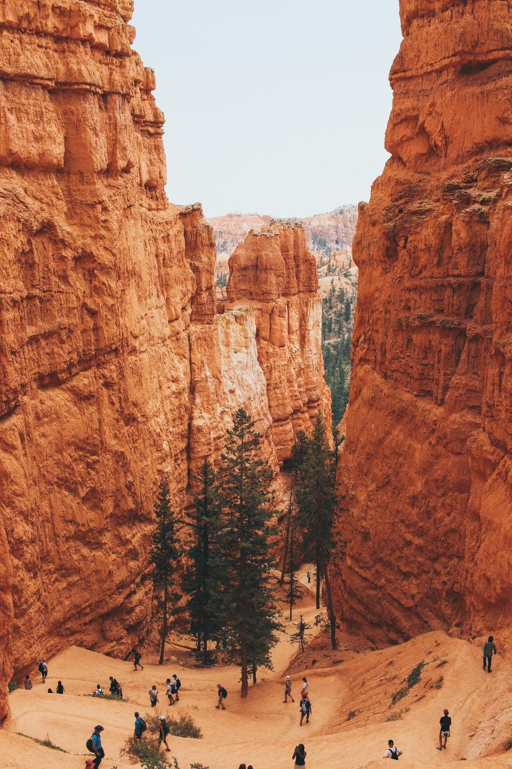 Bryce Canyon National Park Wallpapers - Top Free Bryce Canyon National ...