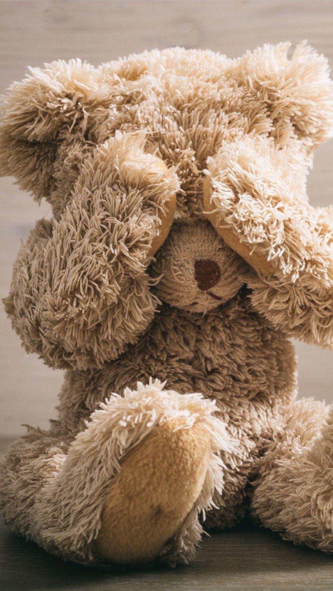 Teddy Bear Face Wallpapers - Top Free Teddy Bear Face Backgrounds ...