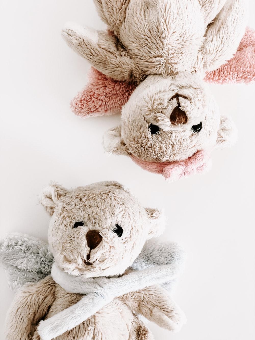 Teddy Bear Face Wallpapers - Top Free Teddy Bear Face Backgrounds ...