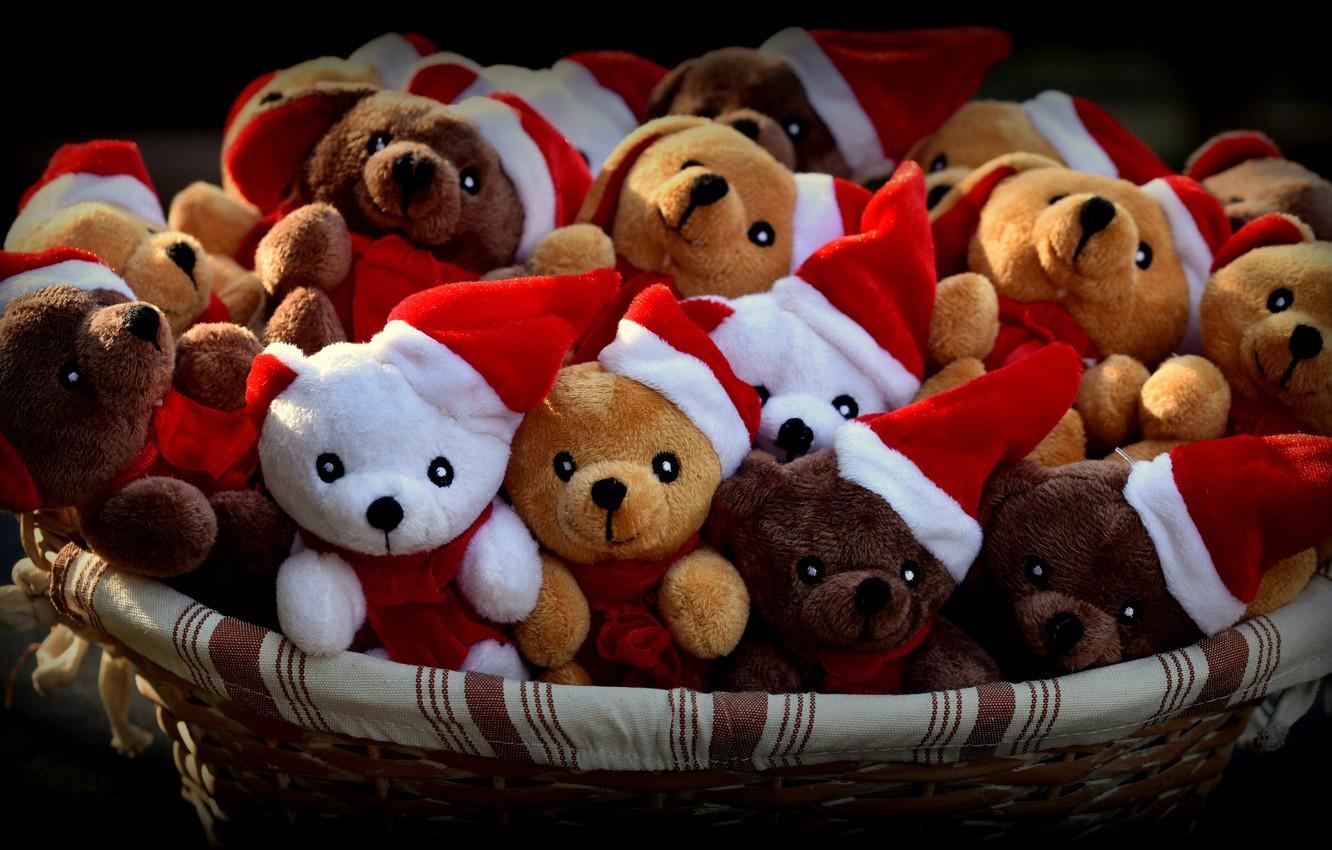 Teddy Bear Face Wallpapers - Top Free Teddy Bear Face Backgrounds ...