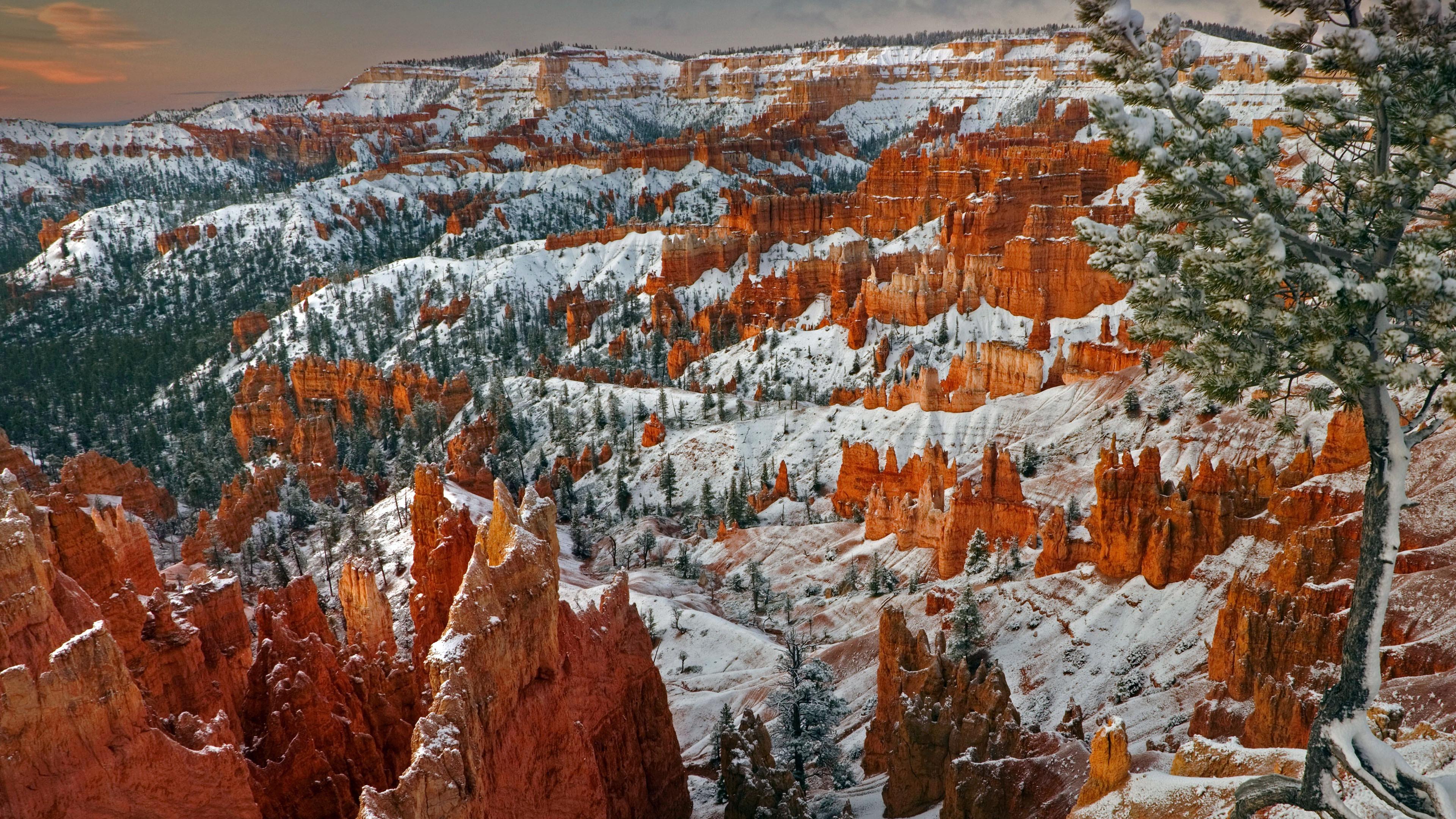 Bryce Canyon National Park Wallpapers - Top Free Bryce Canyon National ...
