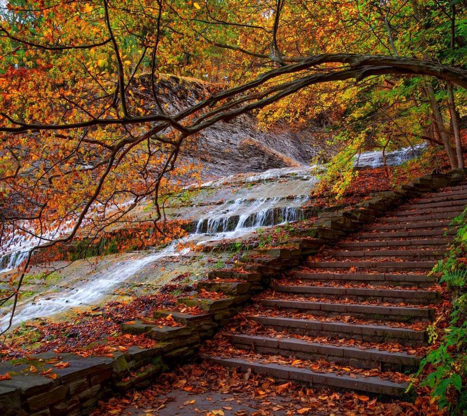 Cornell University Wallpapers - Top Free Cornell University Backgrounds ...