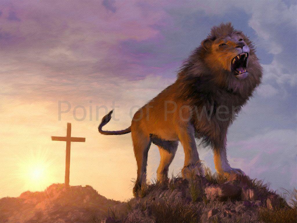 Lion Cross Wallpapers - Top Free Lion Cross Backgrounds - WallpaperAccess