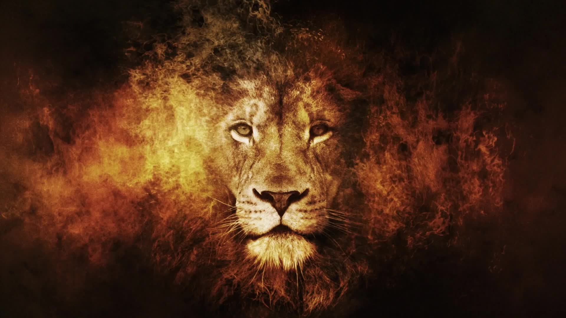 Lion Cross Wallpapers - Top Free Lion Cross Backgrounds - WallpaperAccess