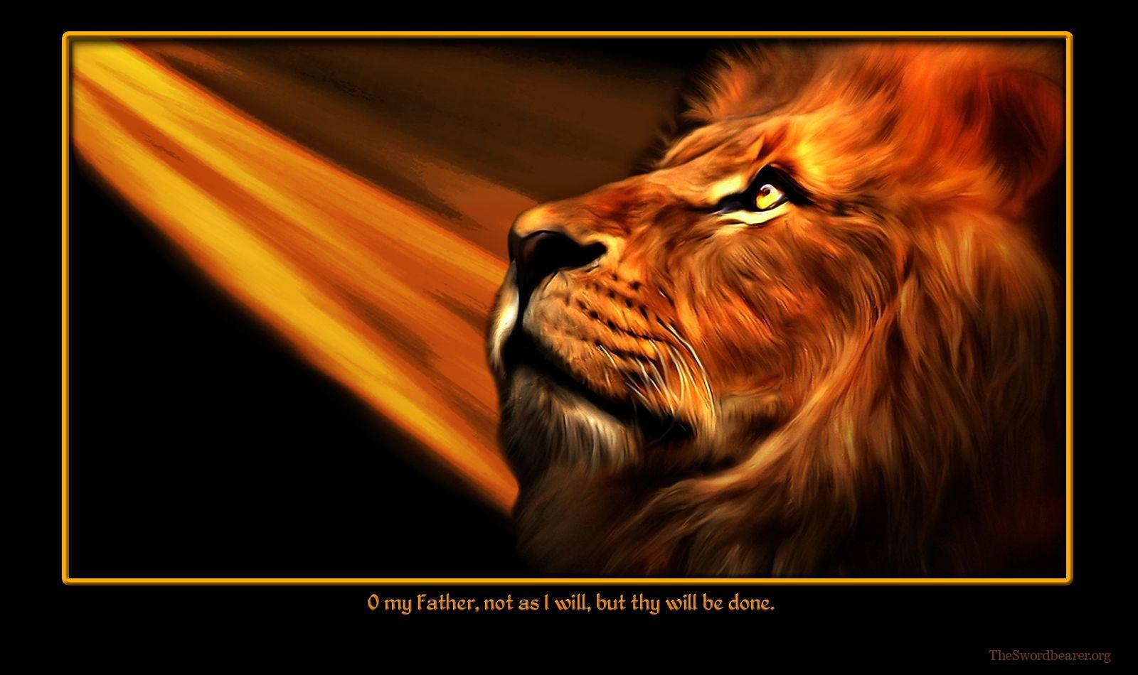 Lion Cross Wallpapers - Top Free Lion Cross Backgrounds - WallpaperAccess