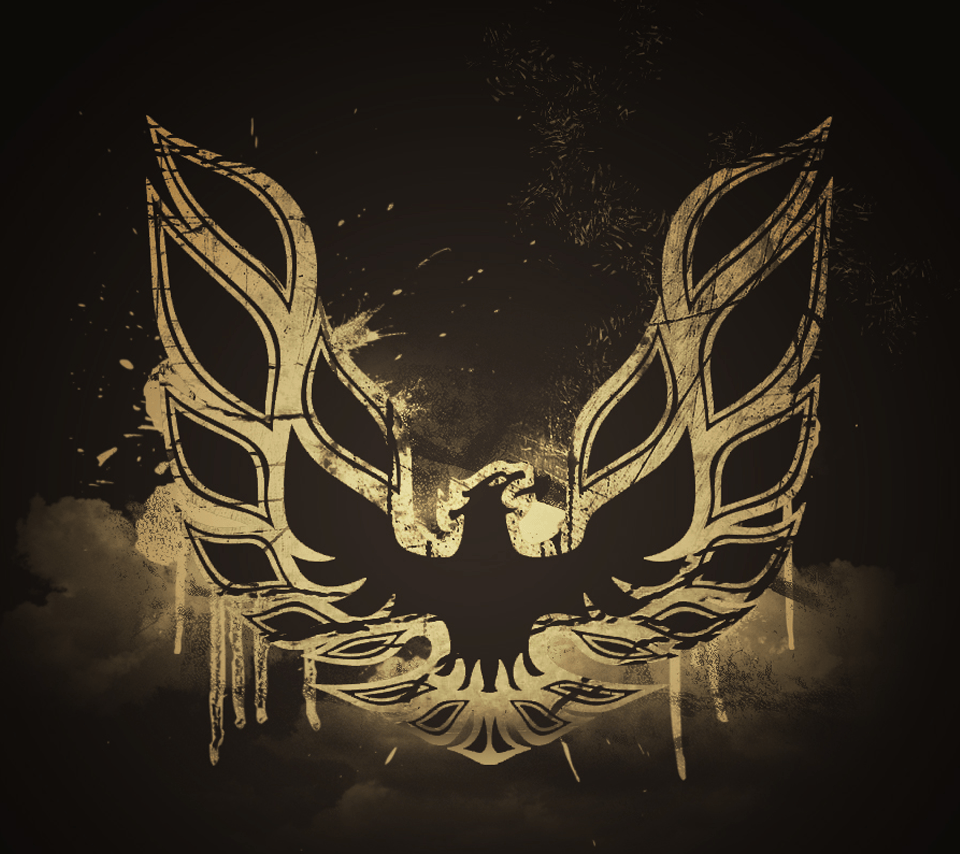 Bird Logo Wallpapers - Top Free Bird Logo Backgrounds - WallpaperAccess