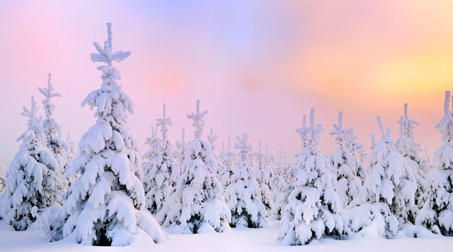 Pink Winter Desktop Wallpapers - Top Free Pink Winter Desktop ...