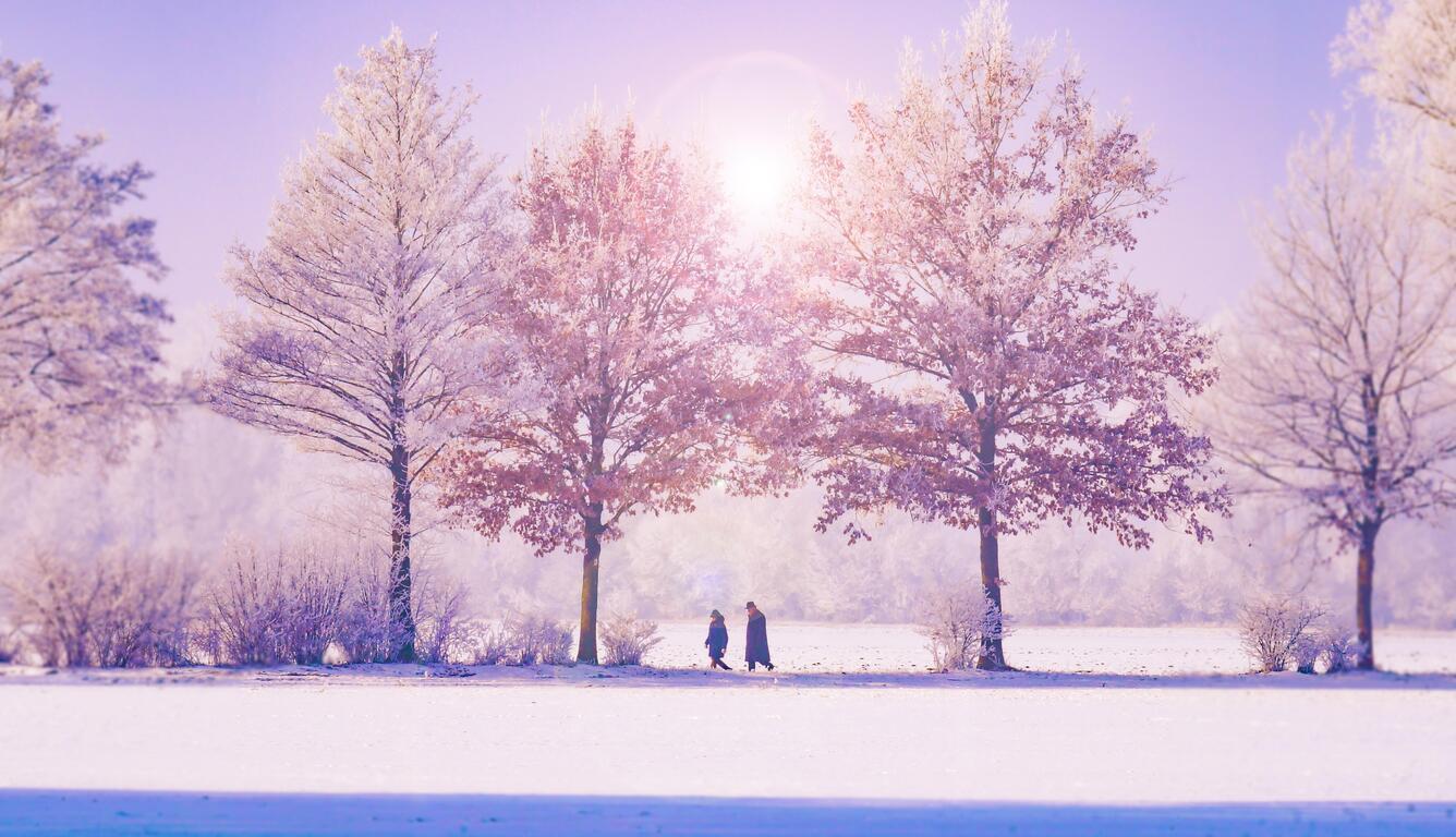 Pink Winter Desktop Wallpapers - Top Free Pink Winter Desktop ...
