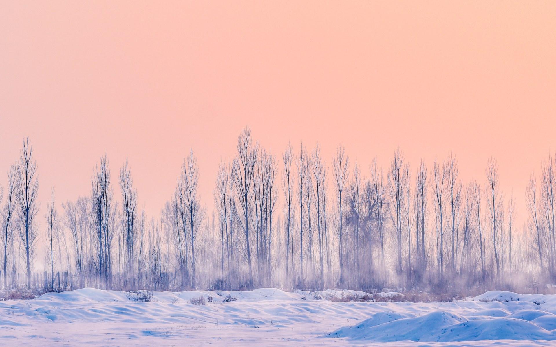 Pink Winter Desktop Wallpapers - Top Free Pink Winter Desktop ...