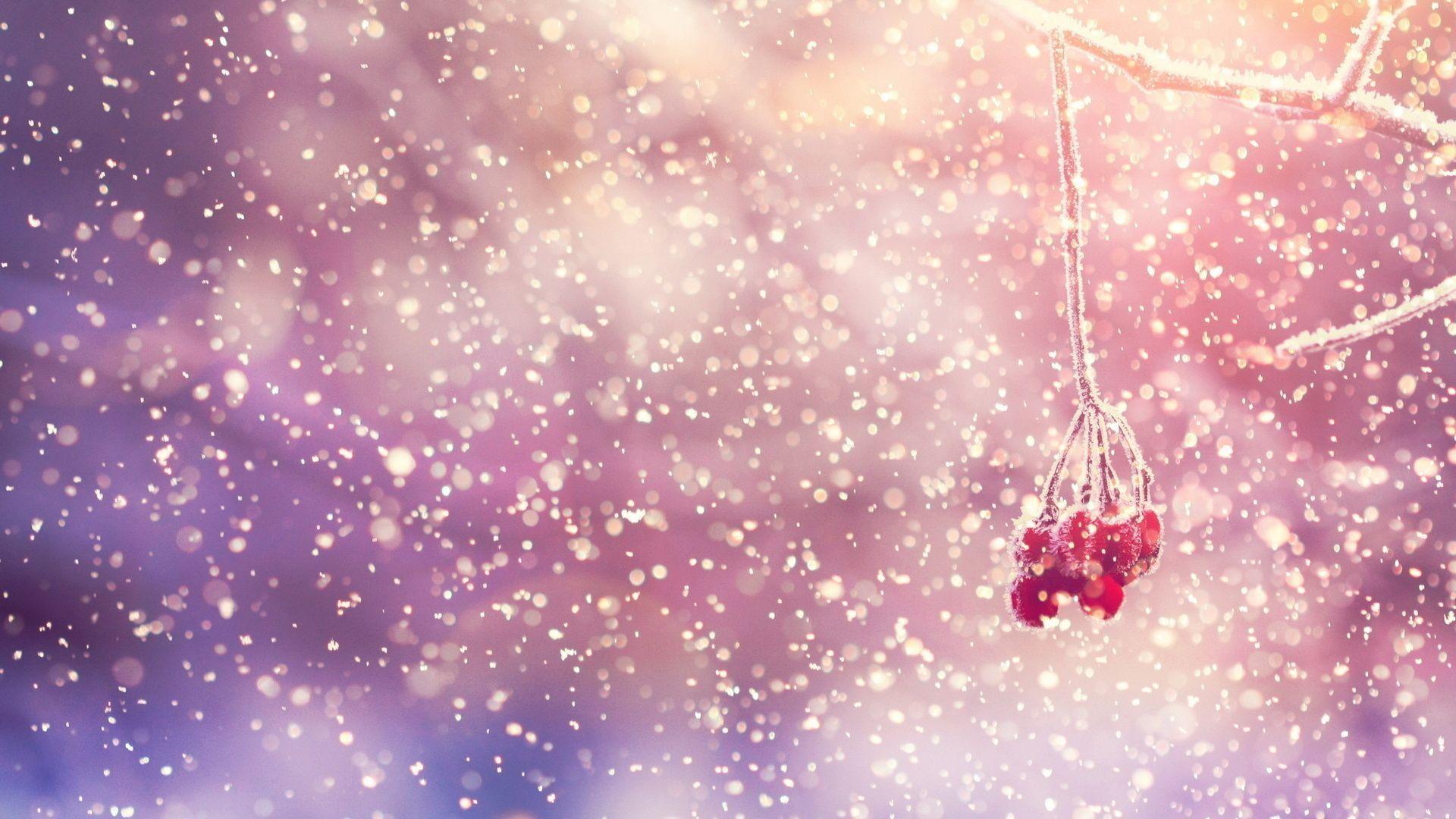 Pink Winter Desktop Wallpapers - Top Free Pink Winter Desktop ...