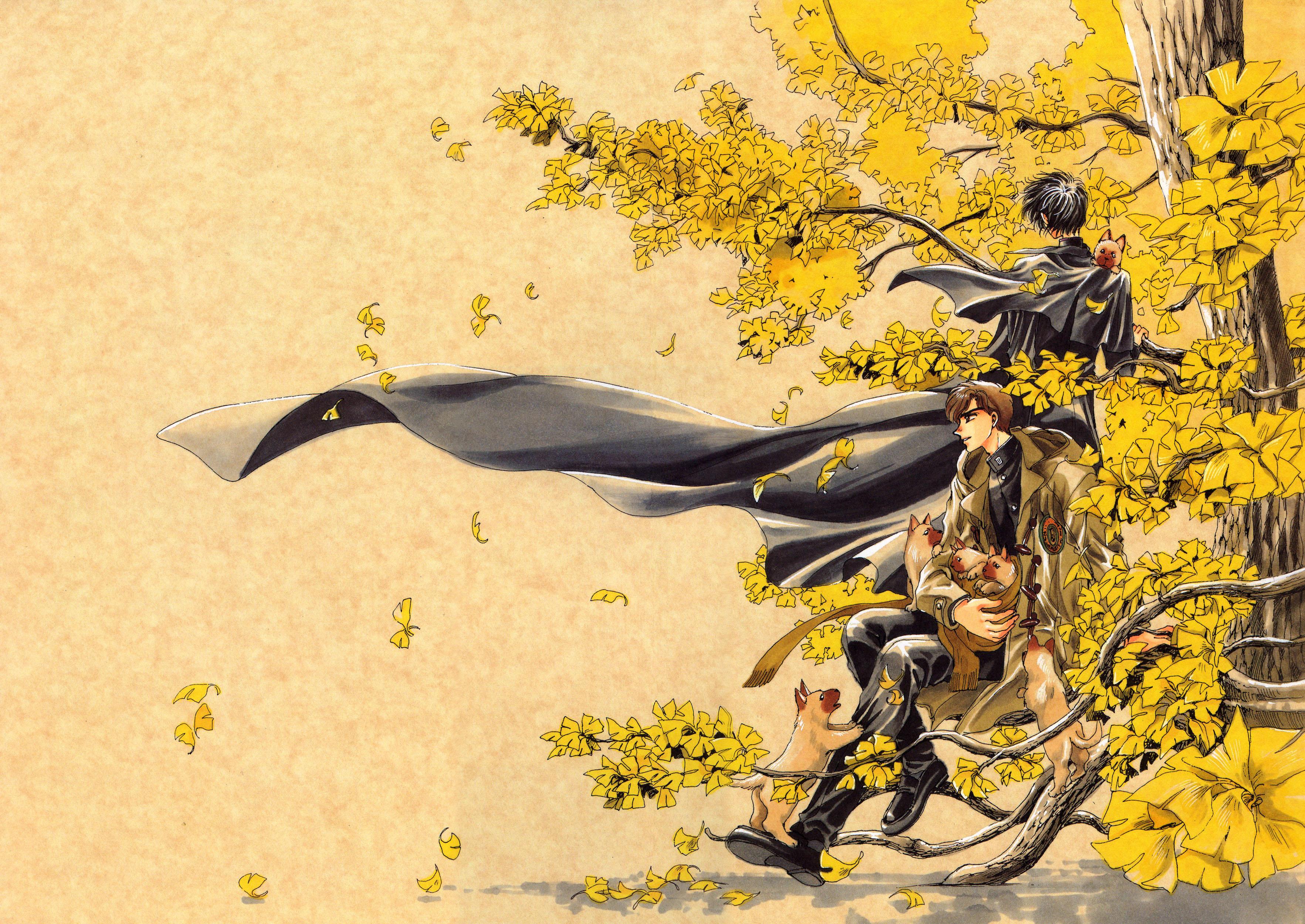 Clamp Wallpapers - Top Free Clamp Backgrounds - WallpaperAccess