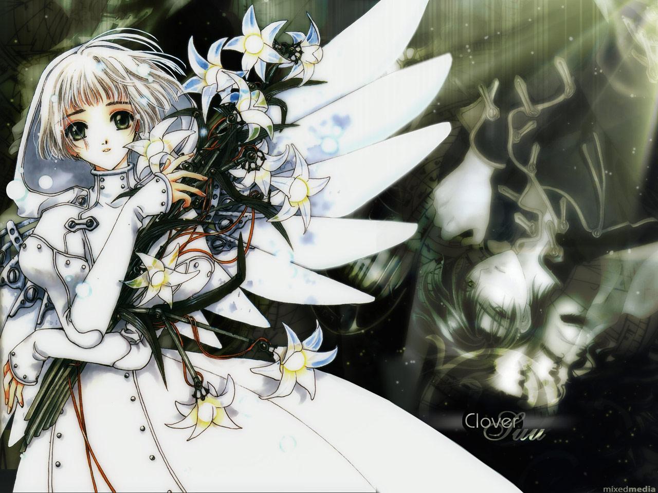 Clamp Wallpapers - Top Free Clamp Backgrounds - WallpaperAccess