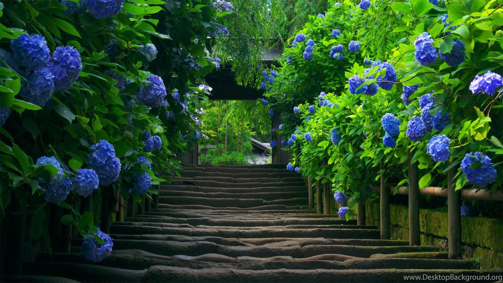 Bright Nature Wallpapers - Top Free Bright Nature Backgrounds ...