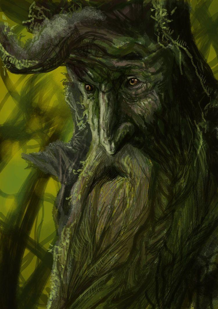 Treebeard Wallpapers - Top Free Treebeard Backgrounds - WallpaperAccess
