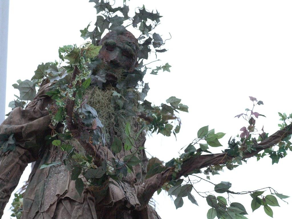 Treebeard Wallpapers - Top Free Treebeard Backgrounds - WallpaperAccess
