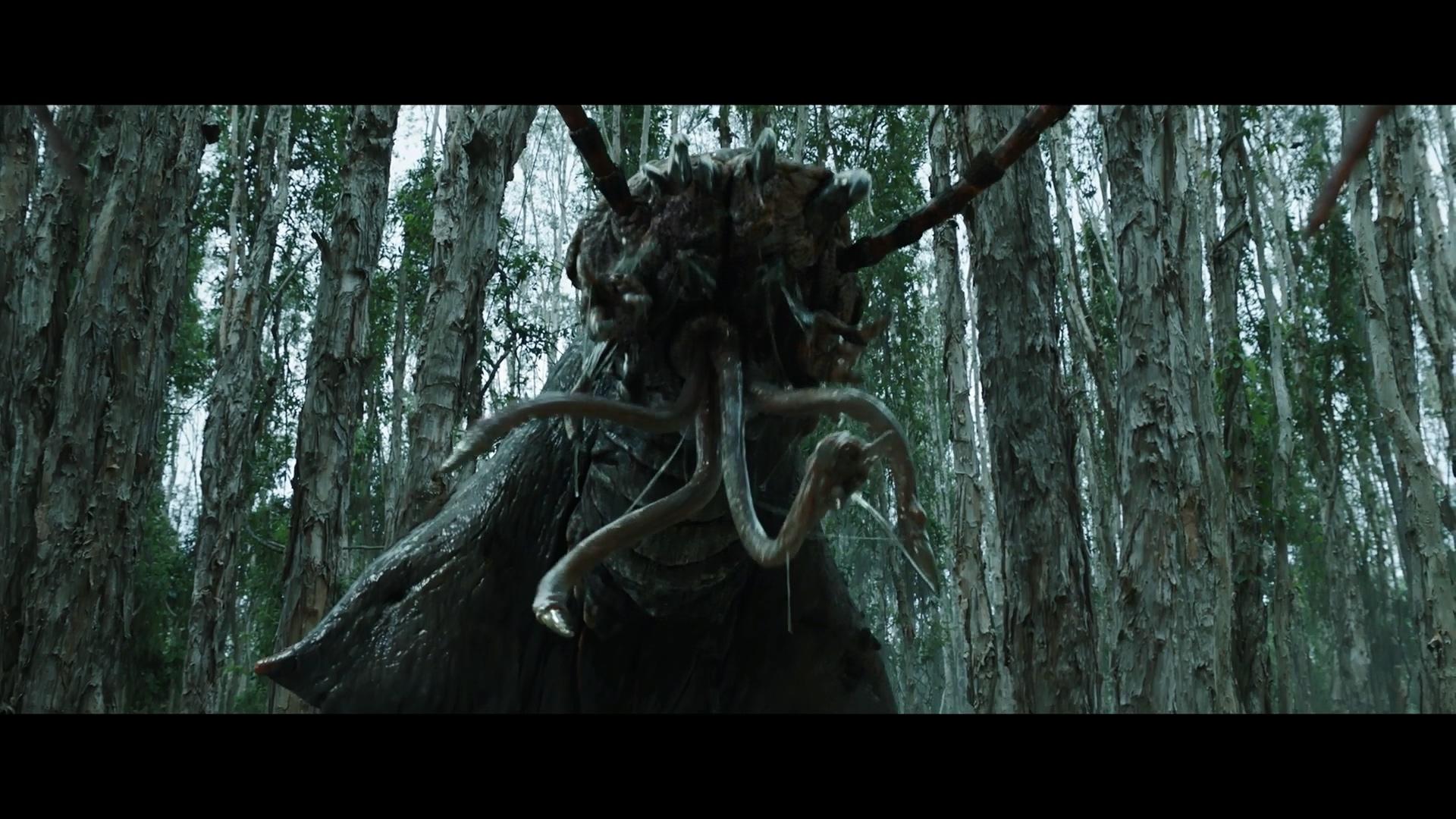 Treebeard Wallpapers - Top Free Treebeard Backgrounds - WallpaperAccess