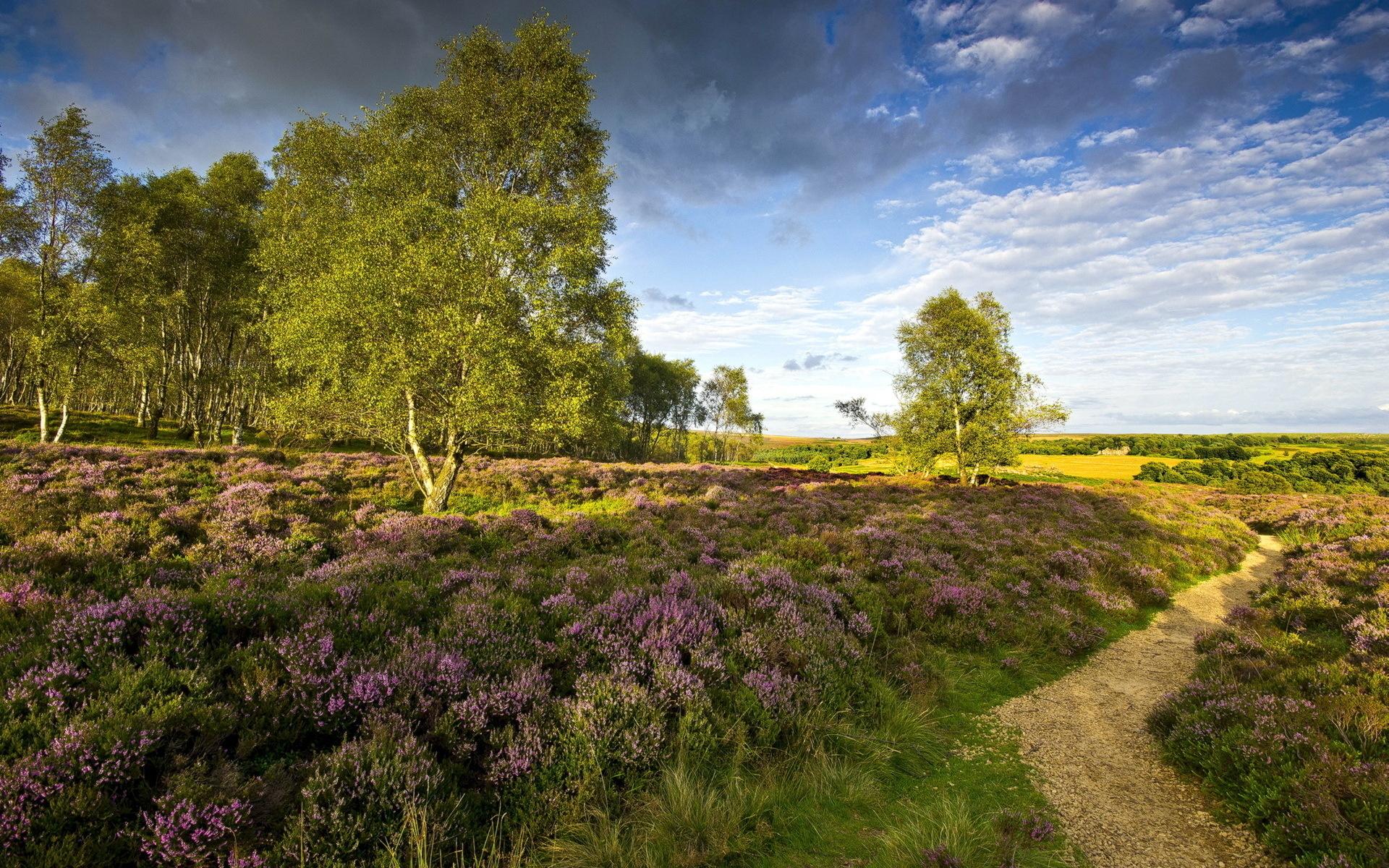 Beautiful Countryside Wallpapers - Top Free Beautiful Countryside ...