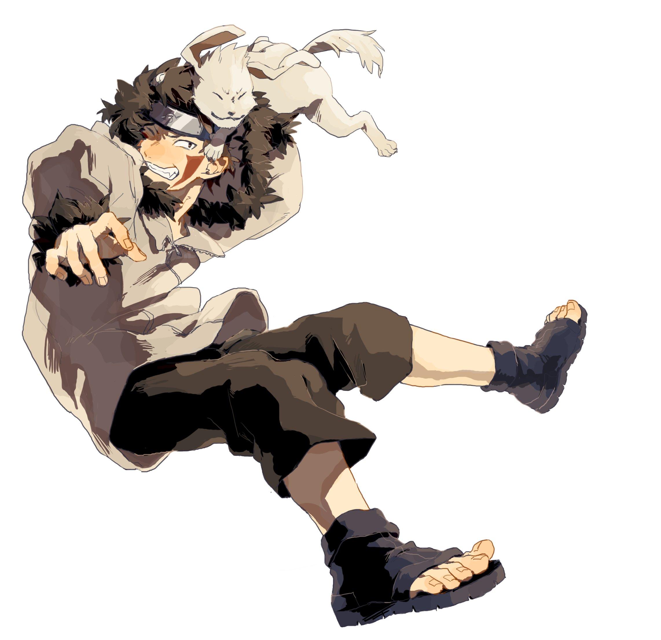 Akamaru Wallpapers - Top Free Akamaru Backgrounds - WallpaperAccess