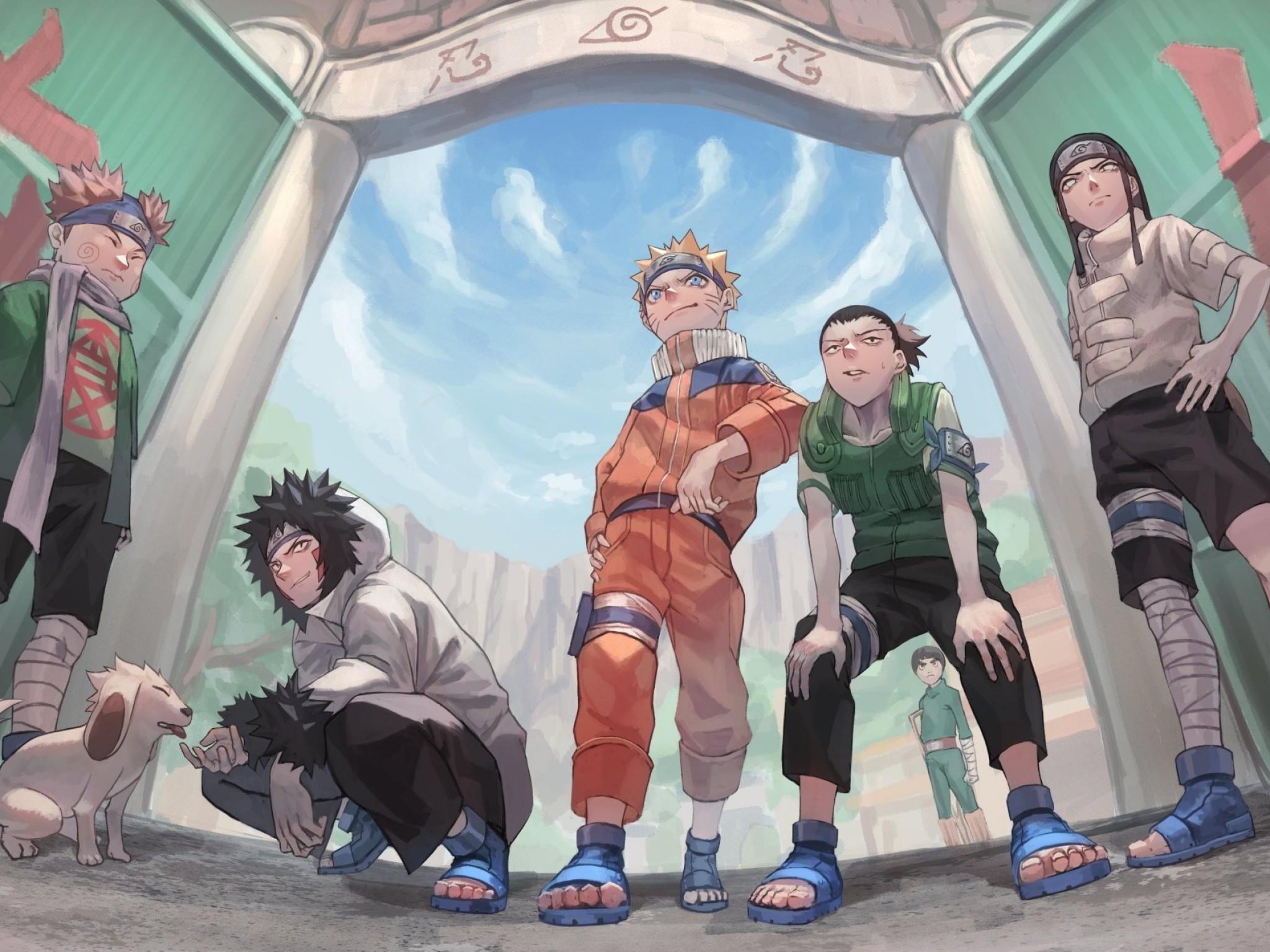 Akamaru Wallpapers - Top Free Akamaru Backgrounds - WallpaperAccess