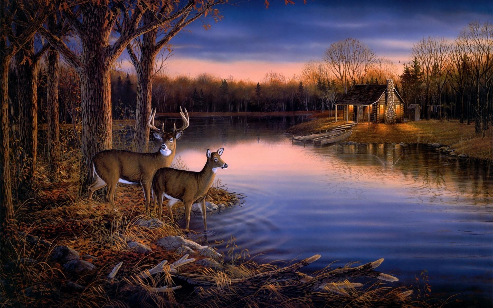 Deer Nature Wallpapers - Top Free Deer Nature Backgrounds - WallpaperAccess