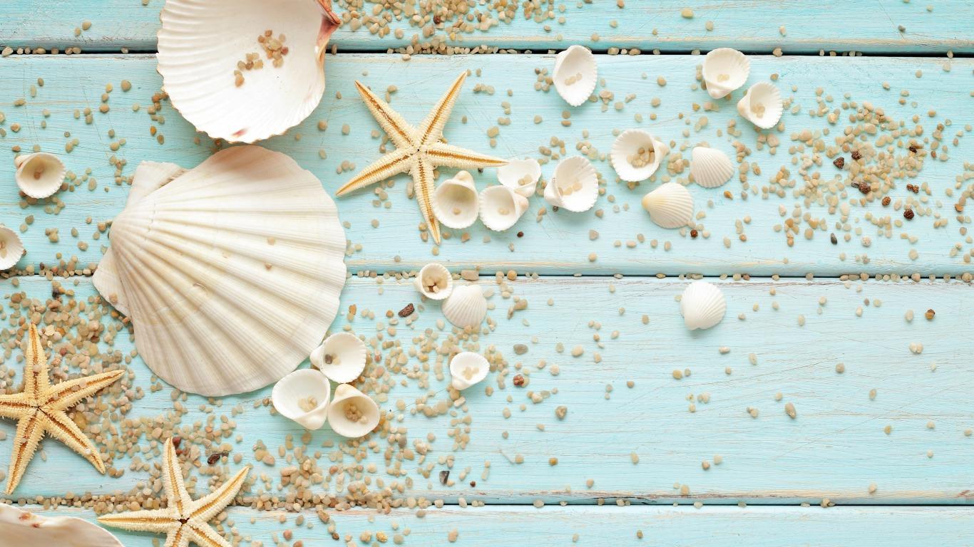 Seashell Desktop Wallpapers - Top Free Seashell Desktop Backgrounds ...