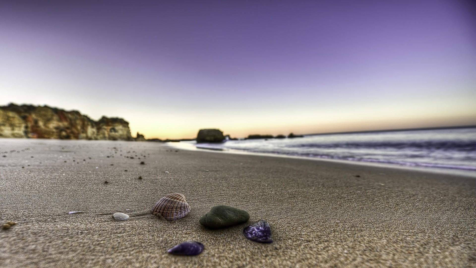 Seashell Desktop Wallpapers - Top Free Seashell Desktop Backgrounds ...