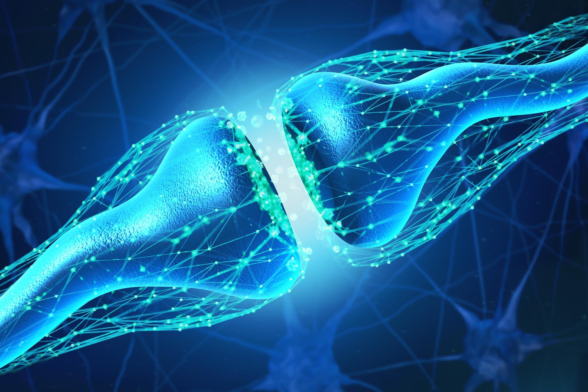 Synapse Wallpapers - Top Free Synapse Backgrounds - WallpaperAccess