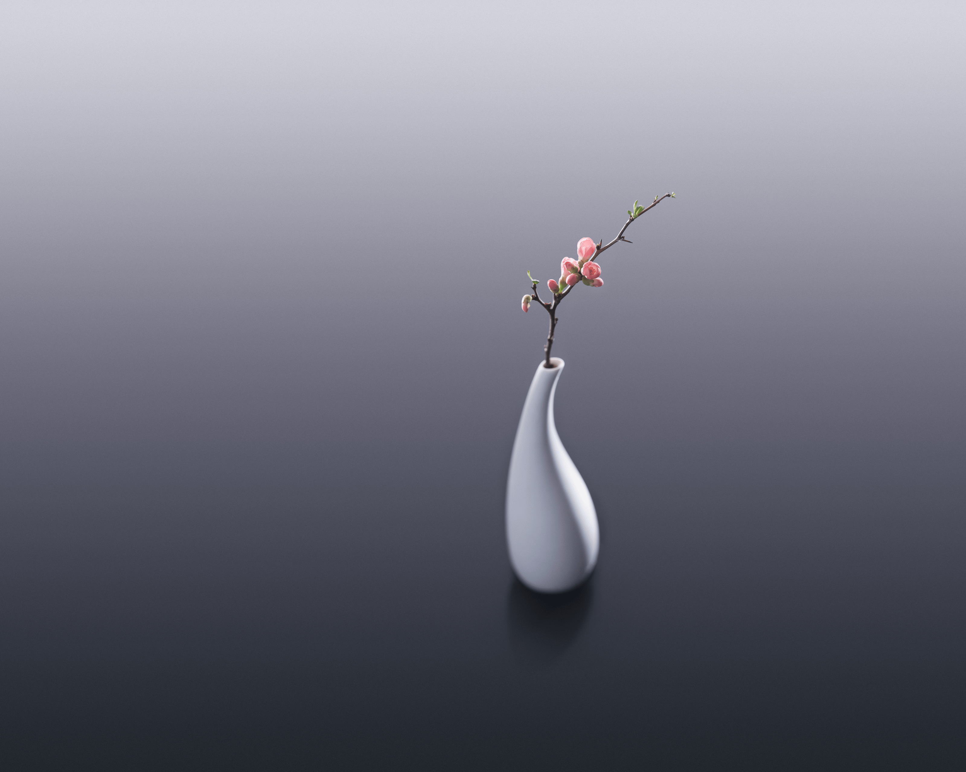 Flower Vase Desktop Wallpapers - Top Free Flower Vase Desktop ...