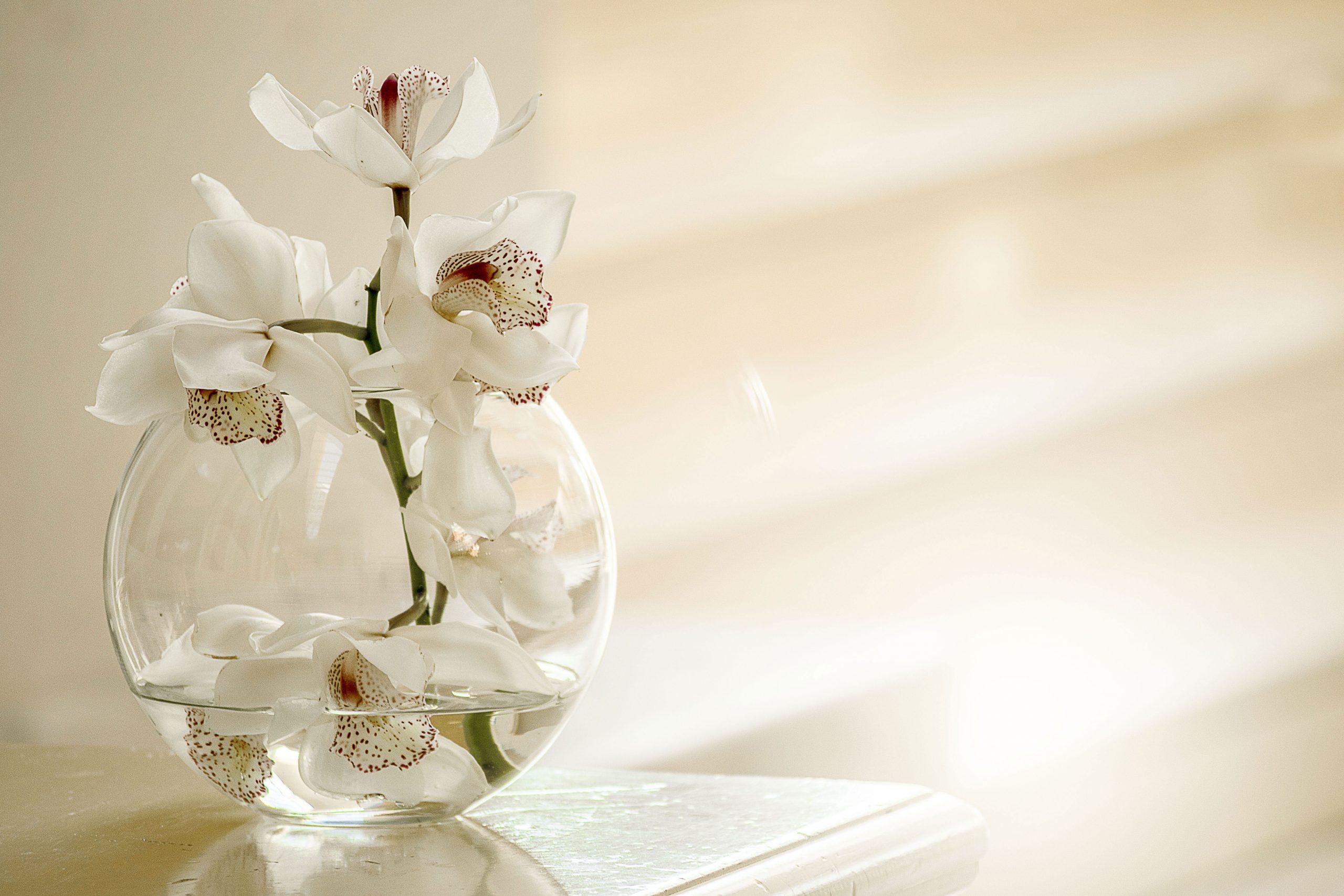 Flower Vase Desktop Wallpapers - Top Free Flower Vase Desktop ...