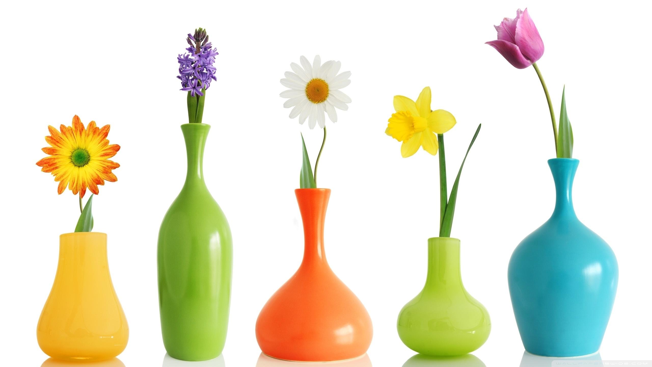 Flower Vase Desktop Wallpapers - Top Free Flower Vase Desktop ...