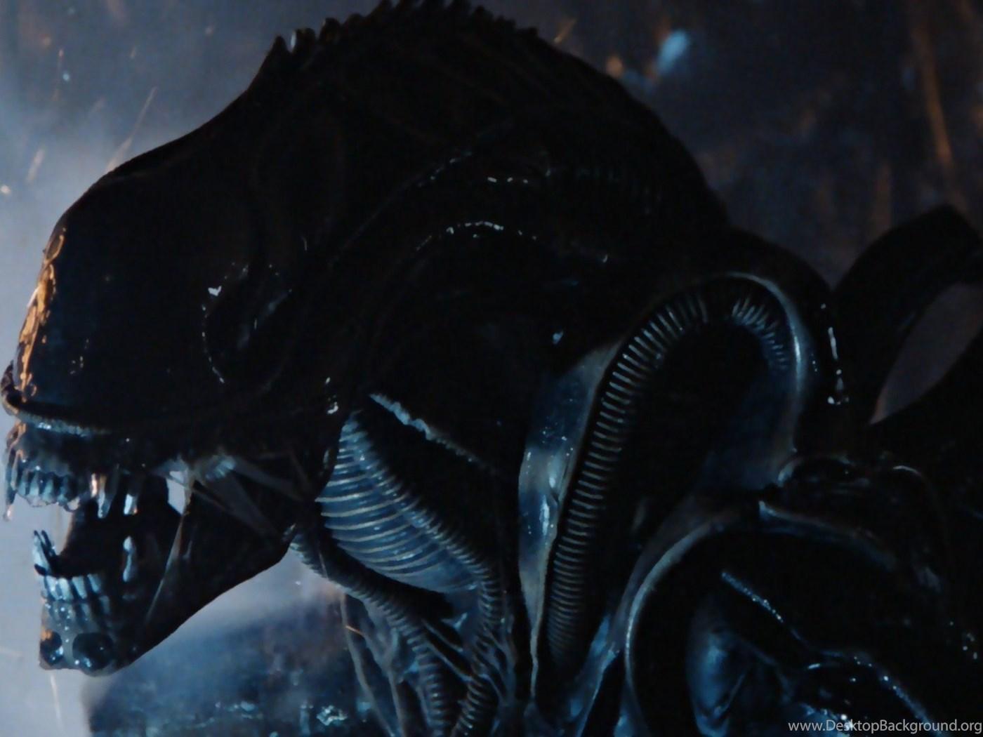 Aliens 1986 Wallpapers - Top Free Aliens 1986 Backgrounds - WallpaperAccess