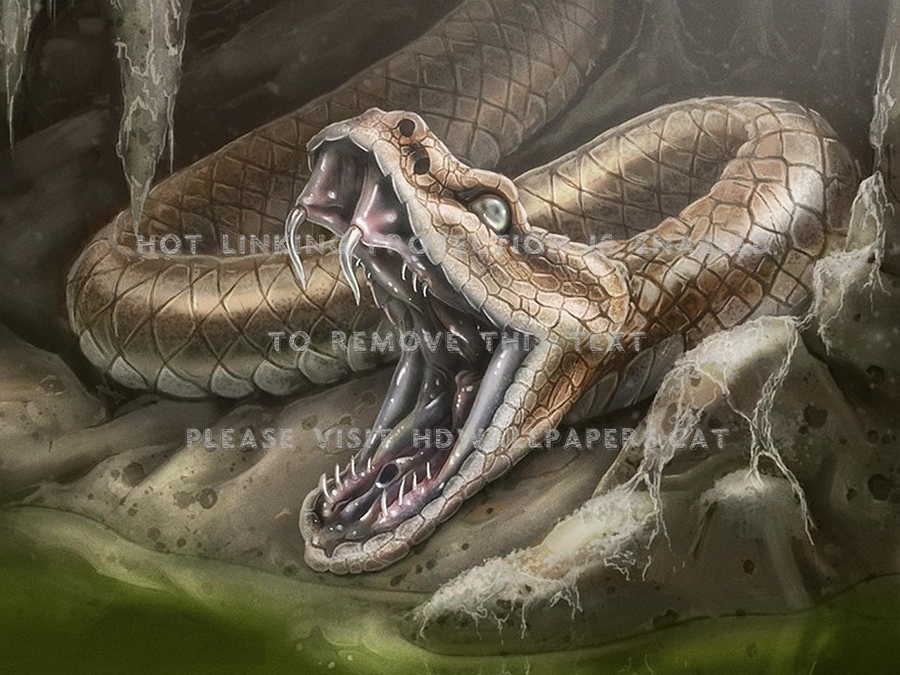 Snake Attack Wallpapers - Top Free Snake Attack Backgrounds ...