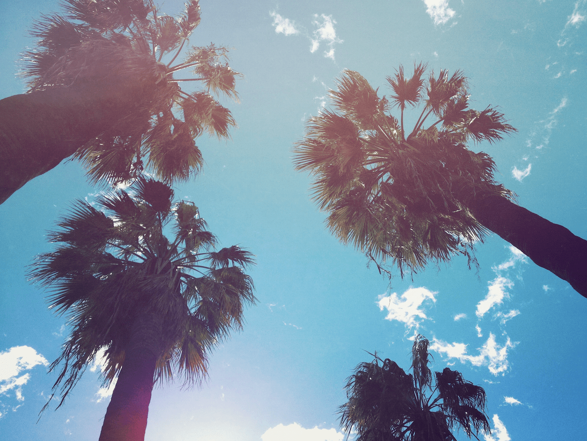 Vibe Desktop Wallpapers - Top Free Vibe Desktop Backgrounds ...