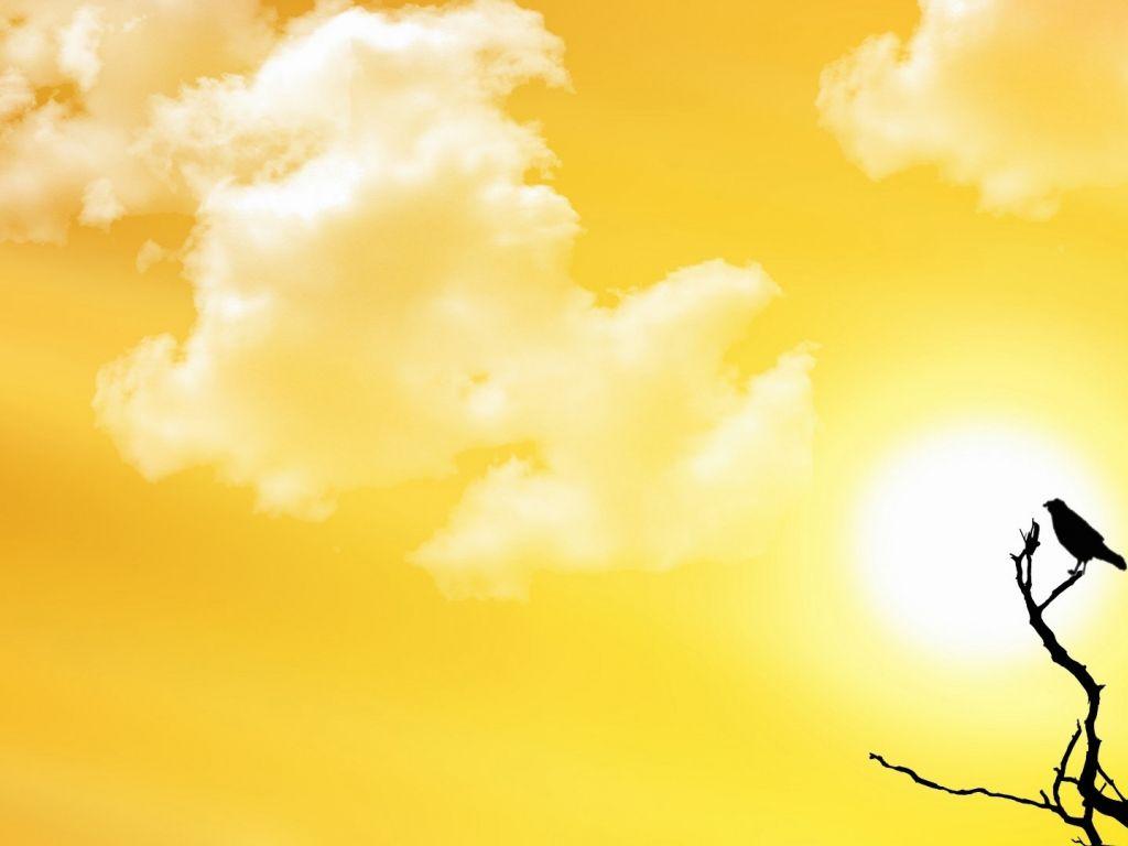 Yellow Lightning 8K Wallpapers - Top Free Yellow Lightning 8K ...