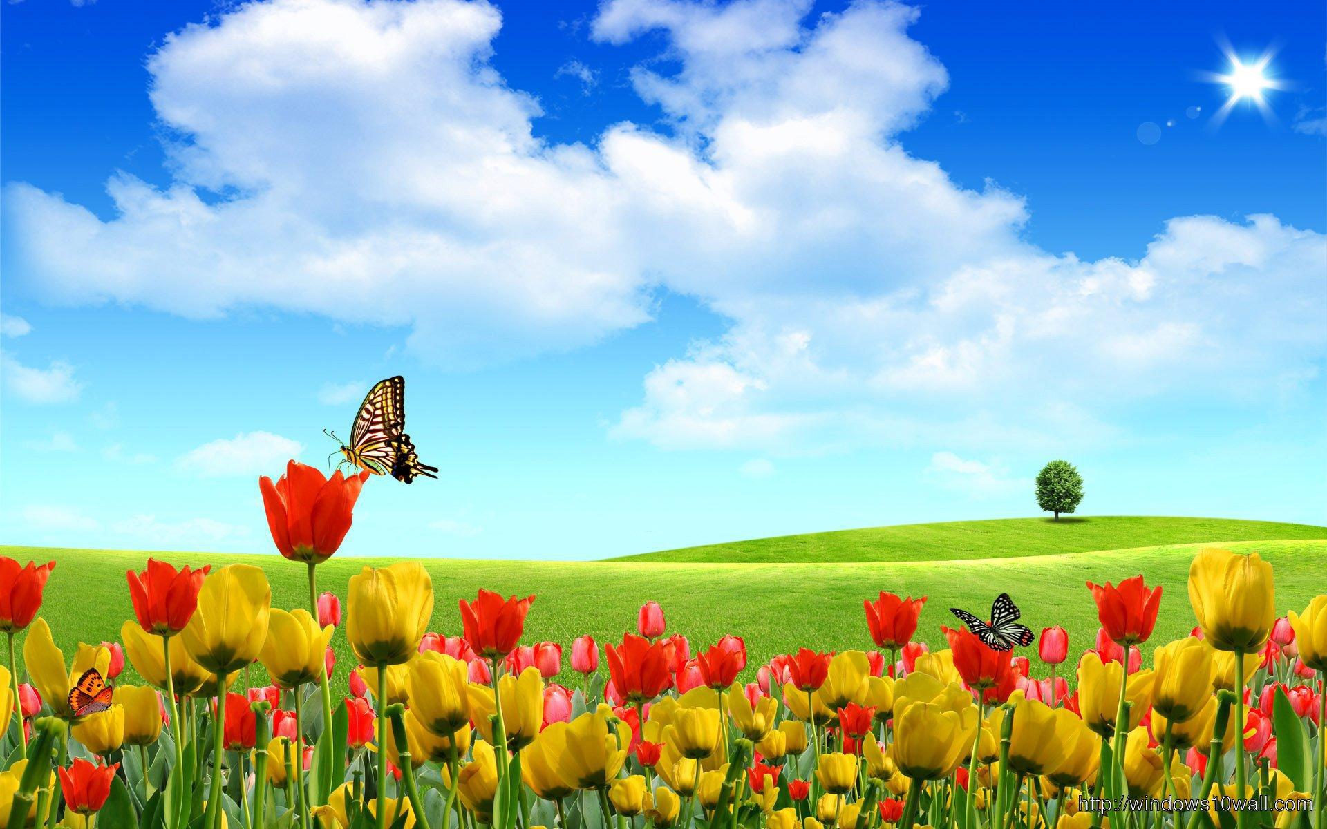 Flower Scenes Wallpapers - Top Free Flower Scenes Backgrounds ...