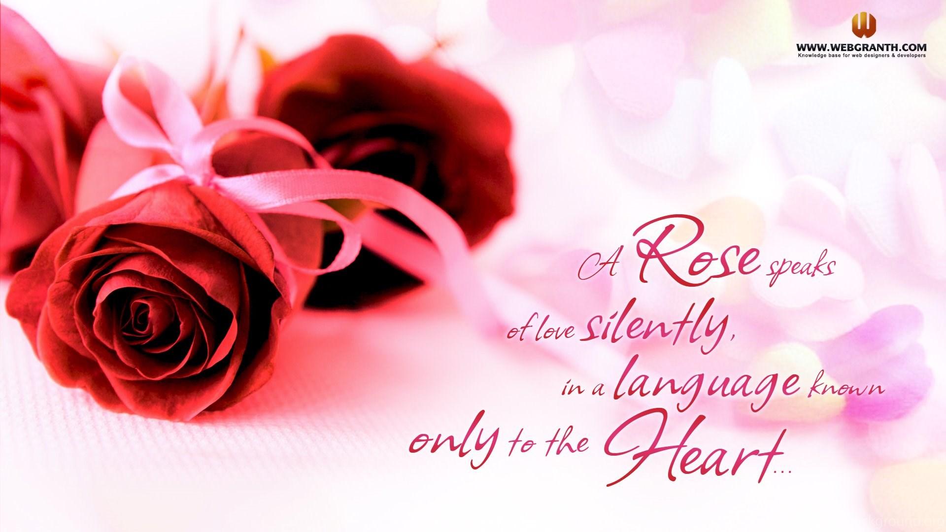 Happy Rose Day Wallpapers - Top Free Happy Rose Day Backgrounds ...