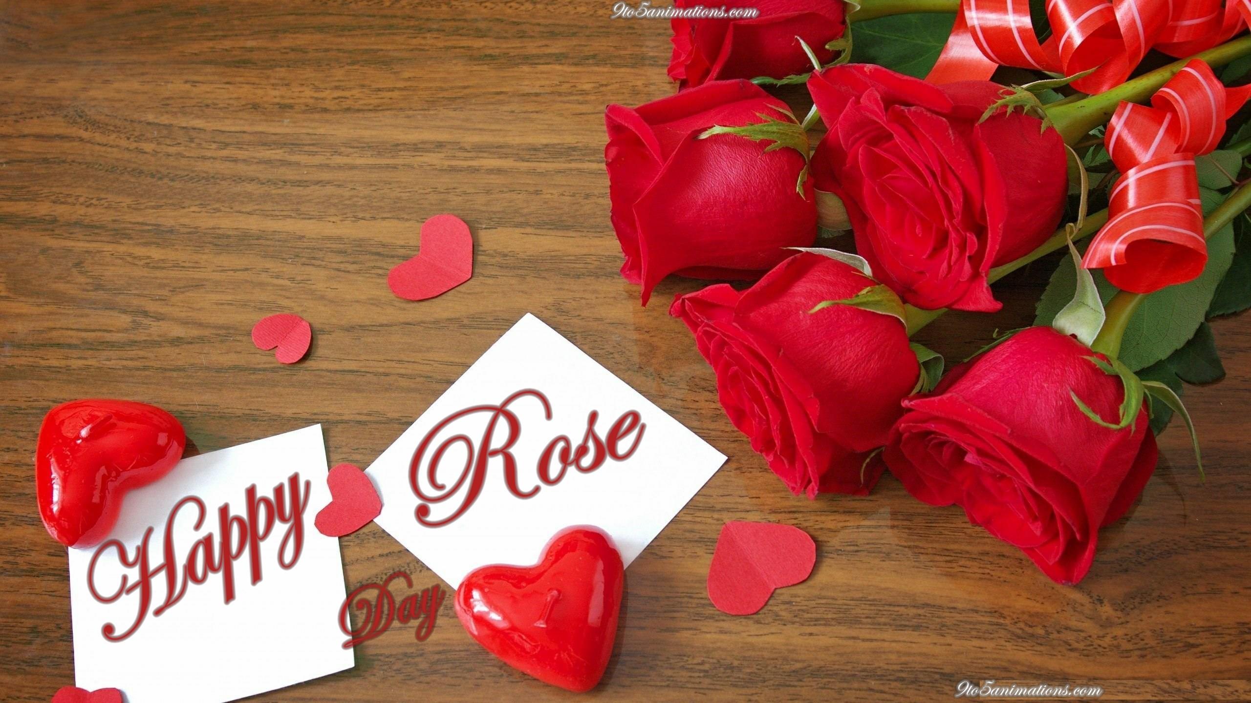 Happy Rose Day Wallpapers - Top Free Happy Rose Day Backgrounds ...