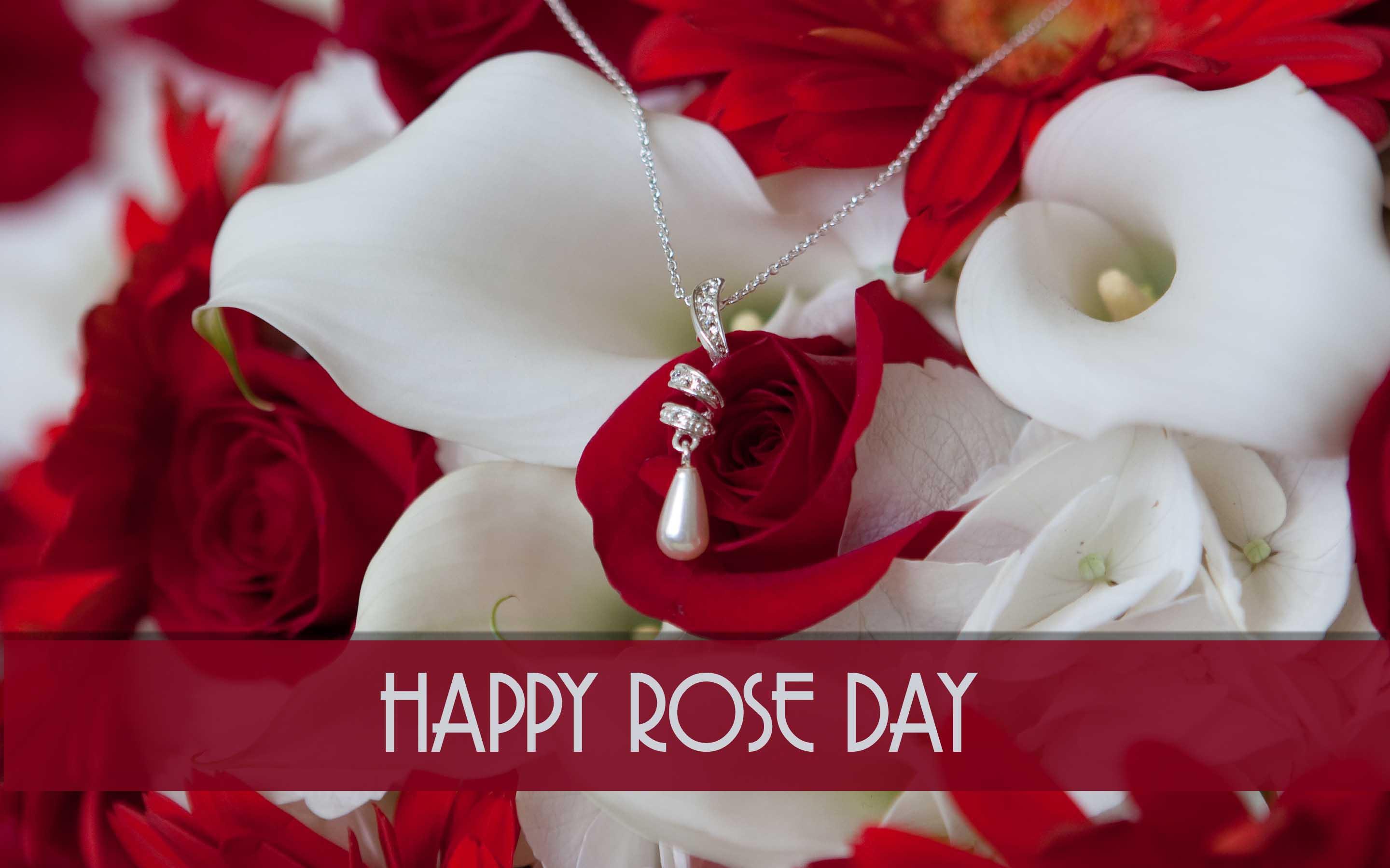 Happy Rose Day Wallpapers - Top Free Happy Rose Day Backgrounds ...
