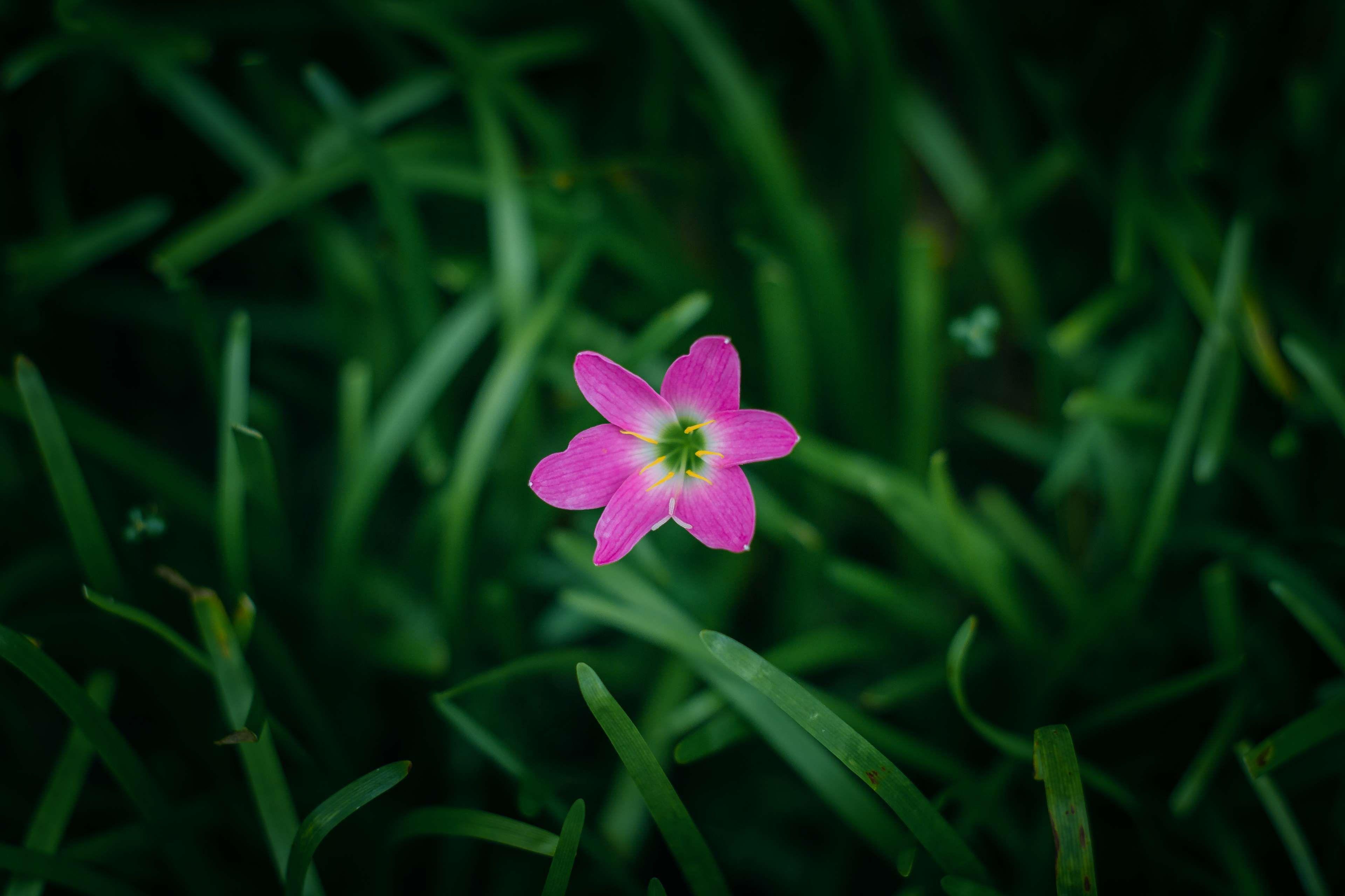 Sad 8K Wallpapers - Top Free Sad 8K Backgrounds - WallpaperAccess