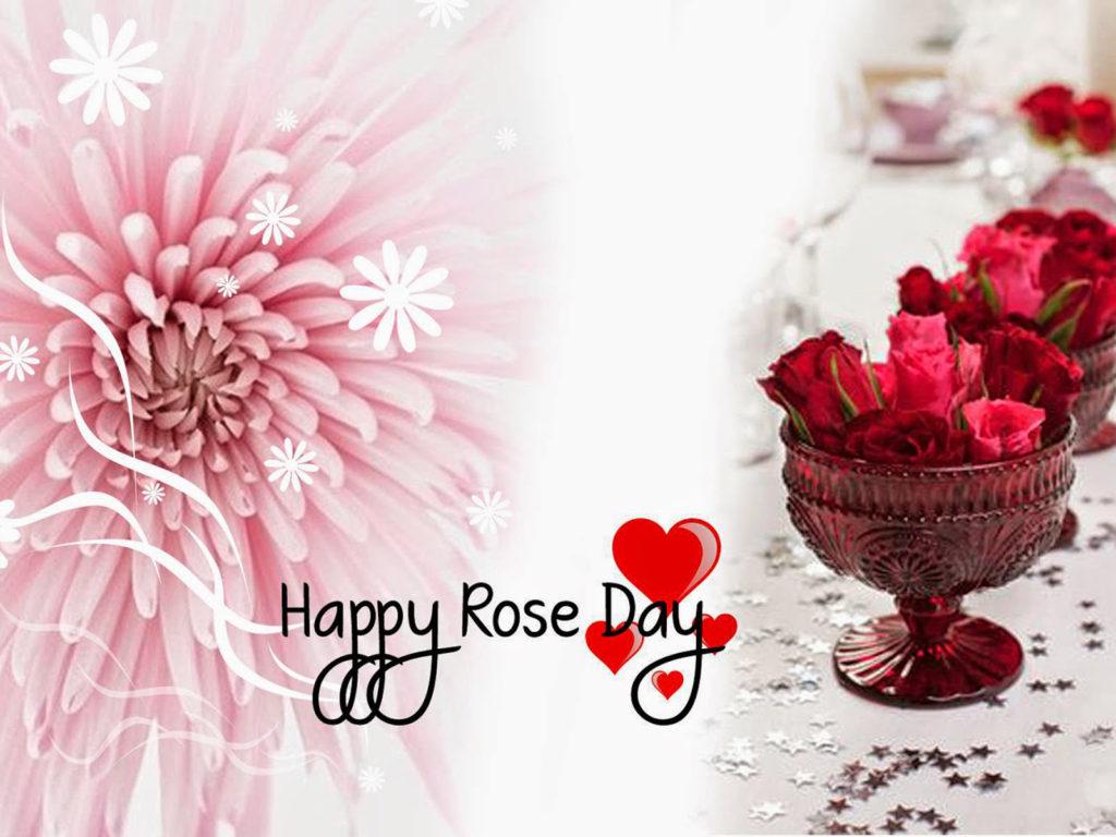 Happy Rose Day Wallpapers - Top Free Happy Rose Day Backgrounds ...