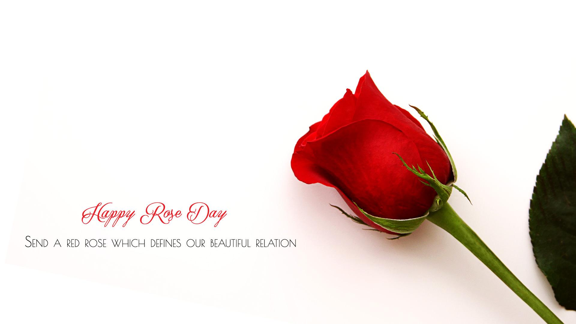 Happy Rose Day Wallpapers - Top Free Happy Rose Day Backgrounds ...