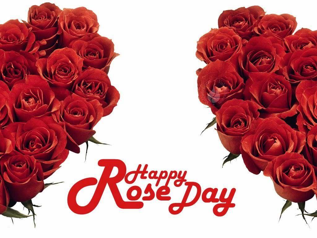 Happy Rose Day Wallpapers - Top Free Happy Rose Day Backgrounds ...