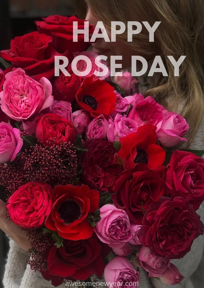 Happy Rose Day Wallpapers - Top Free Happy Rose Day Backgrounds ...
