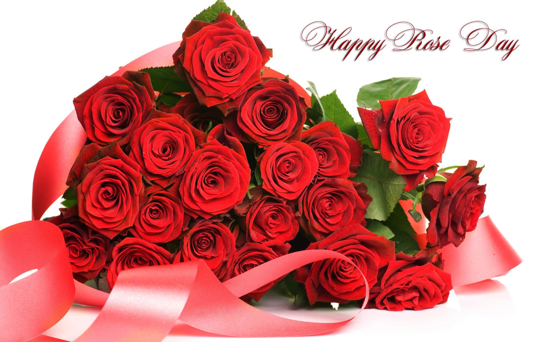 Happy Rose Day Wallpapers - Top Free Happy Rose Day Backgrounds ...