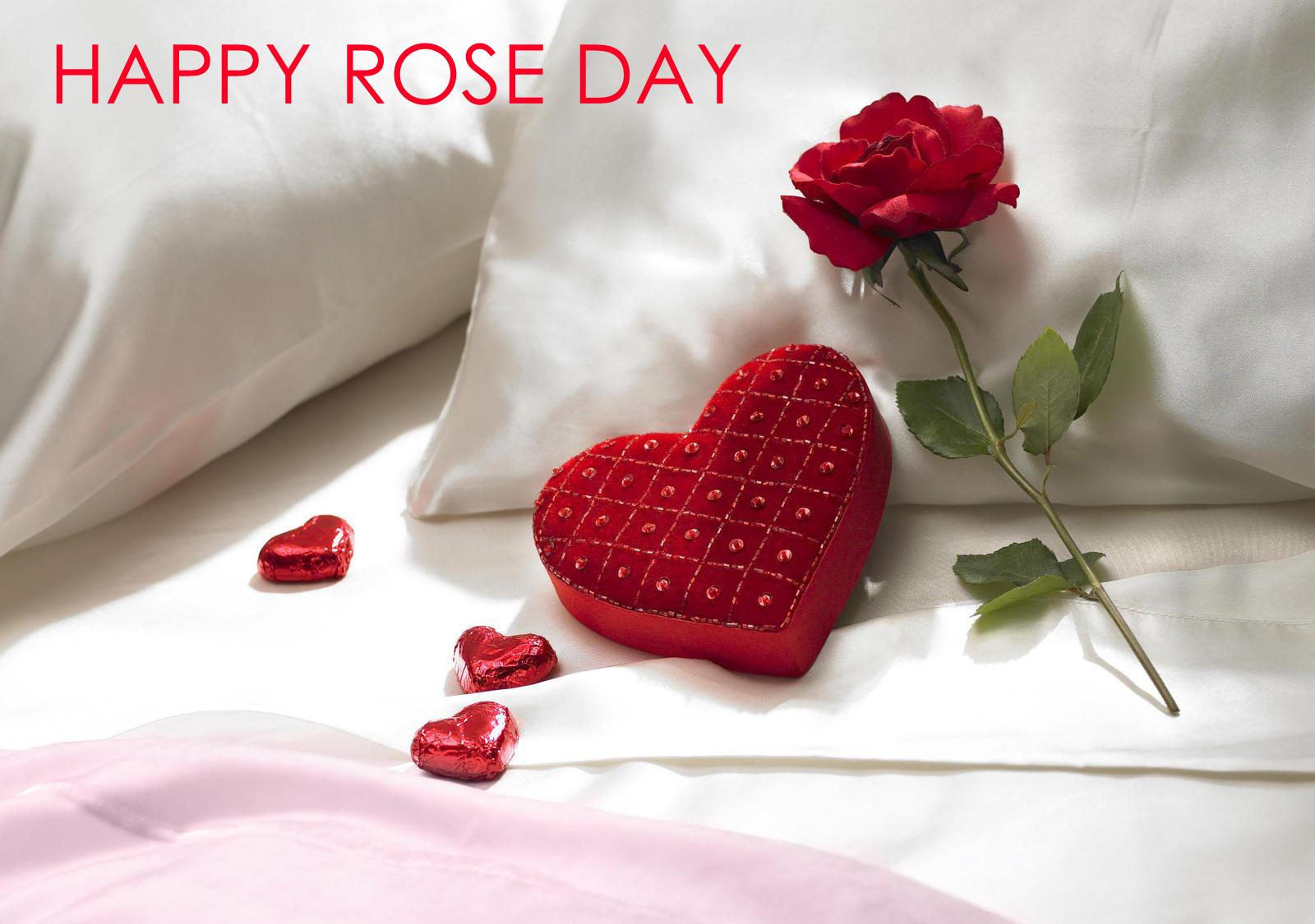 Happy Rose Day Wallpapers - Top Free Happy Rose Day Backgrounds ...