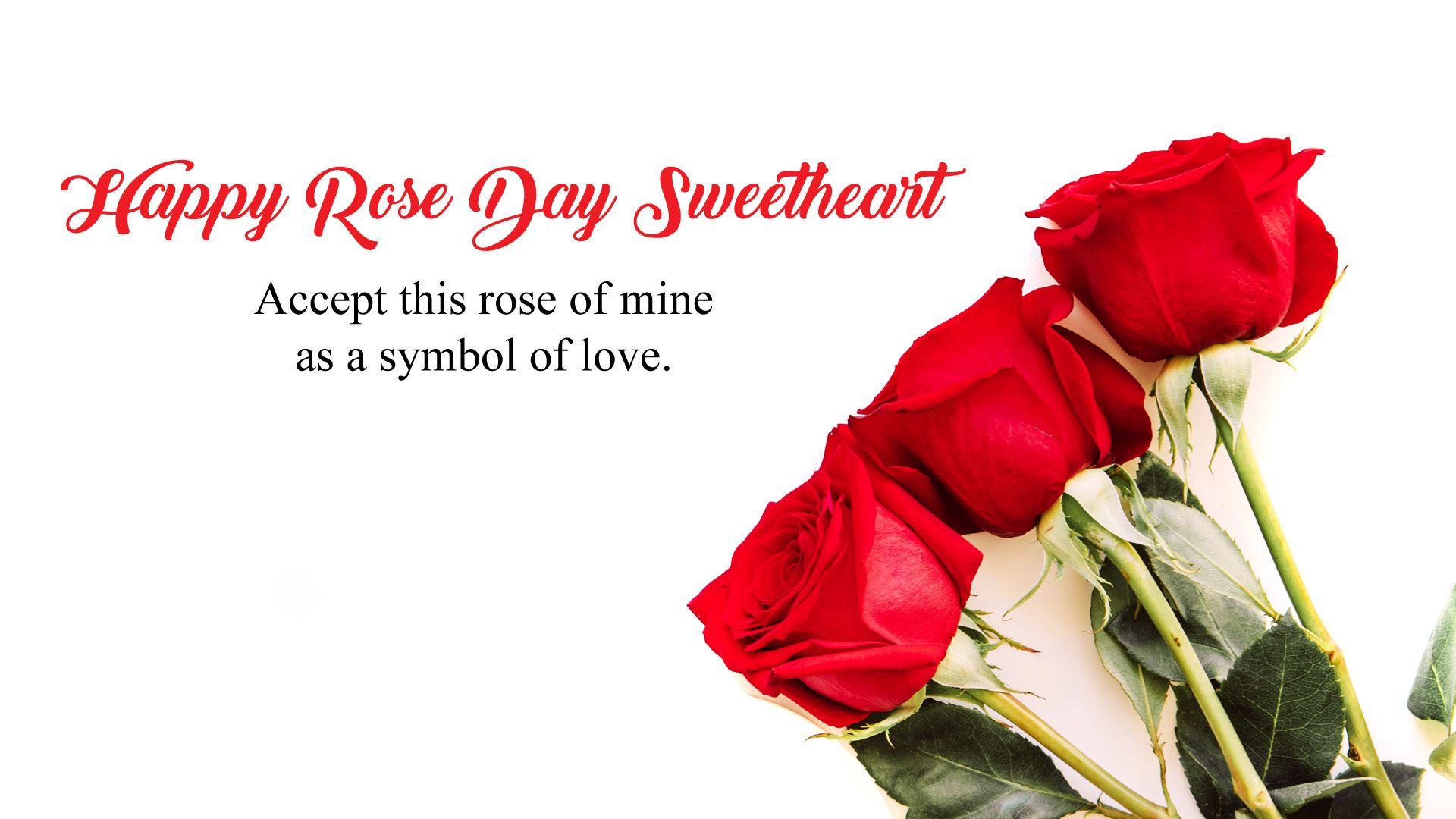 Happy Rose Day Wallpapers - Top Free Happy Rose Day Backgrounds ...