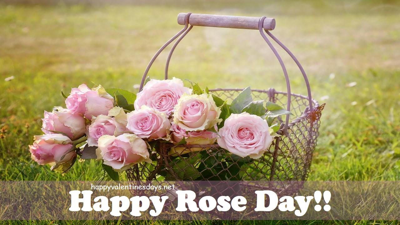 Happy Rose Day Wallpapers - Top Free Happy Rose Day Backgrounds ...