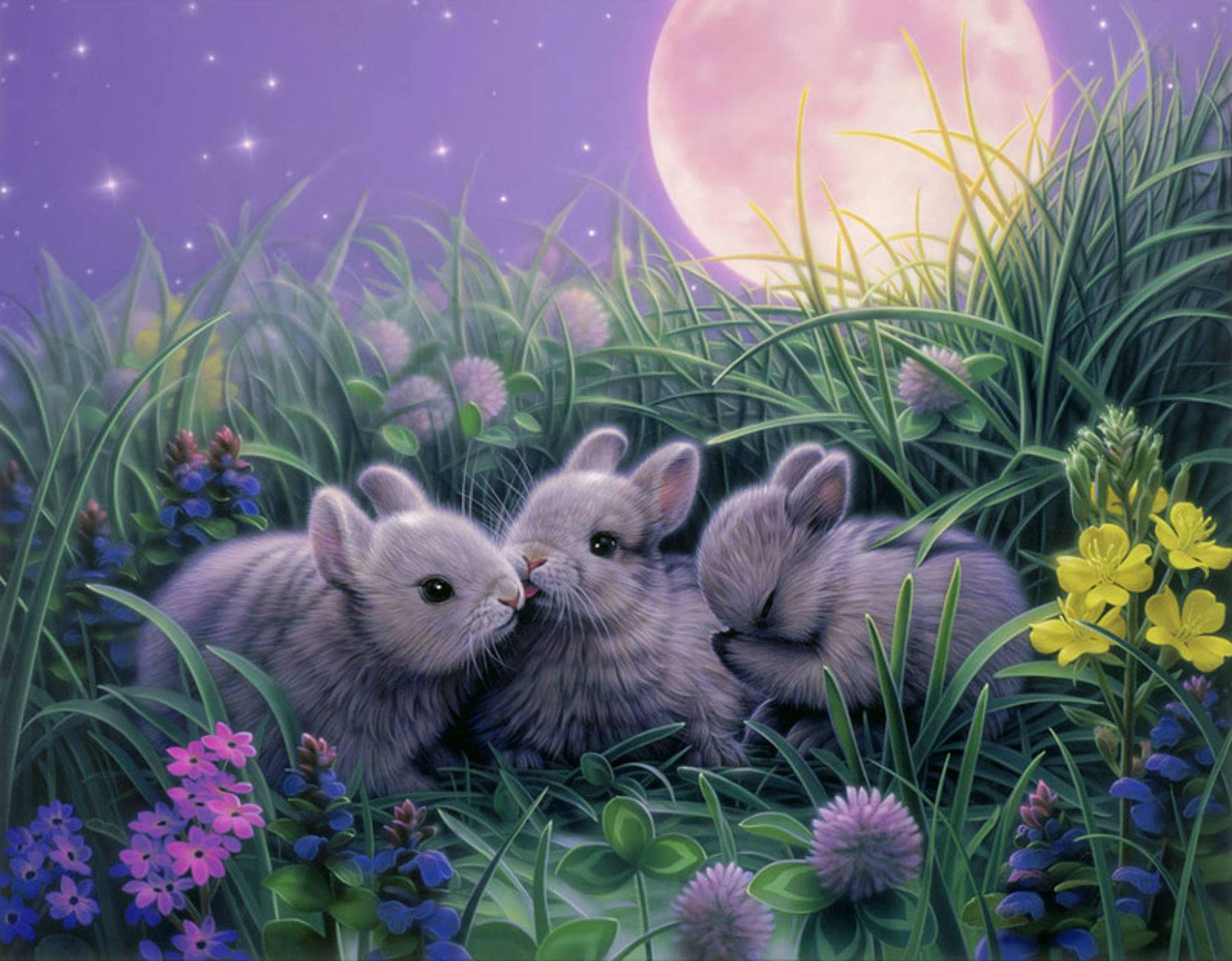 Baby Bunnies Wallpapers - Top Free Baby Bunnies Backgrounds ...