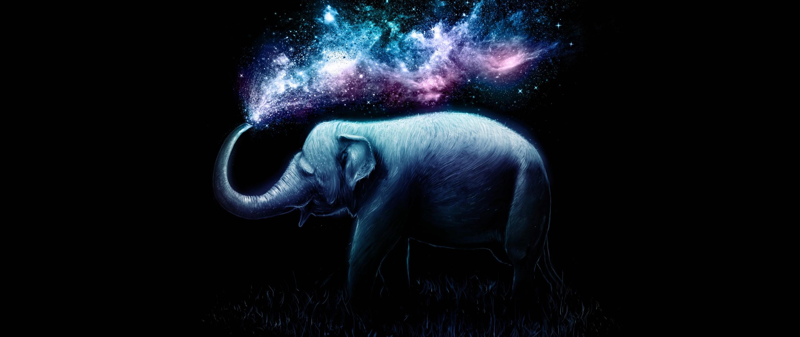 Colorful Elephant Art Wallpapers - Top Free Colorful Elephant Art ...